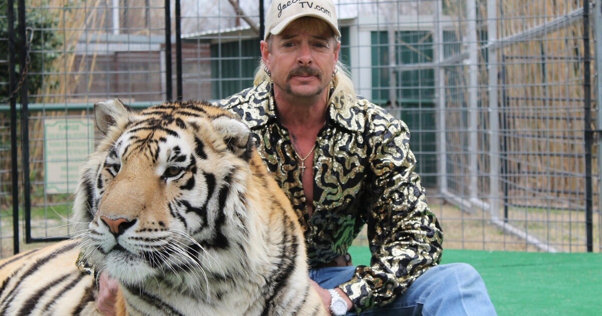 Tiger King : Netflix poursuivi en justice pour "violation de marque et ...