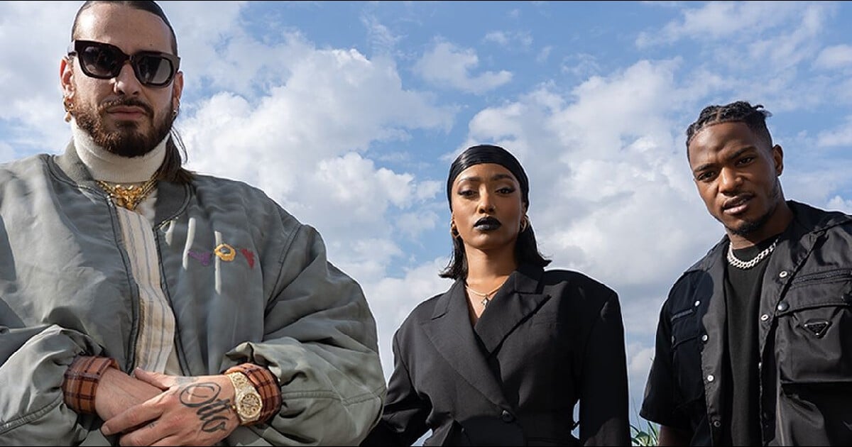 Nouvelle école : Myra le forceur, chaton de la street... 11 tweets qui ...