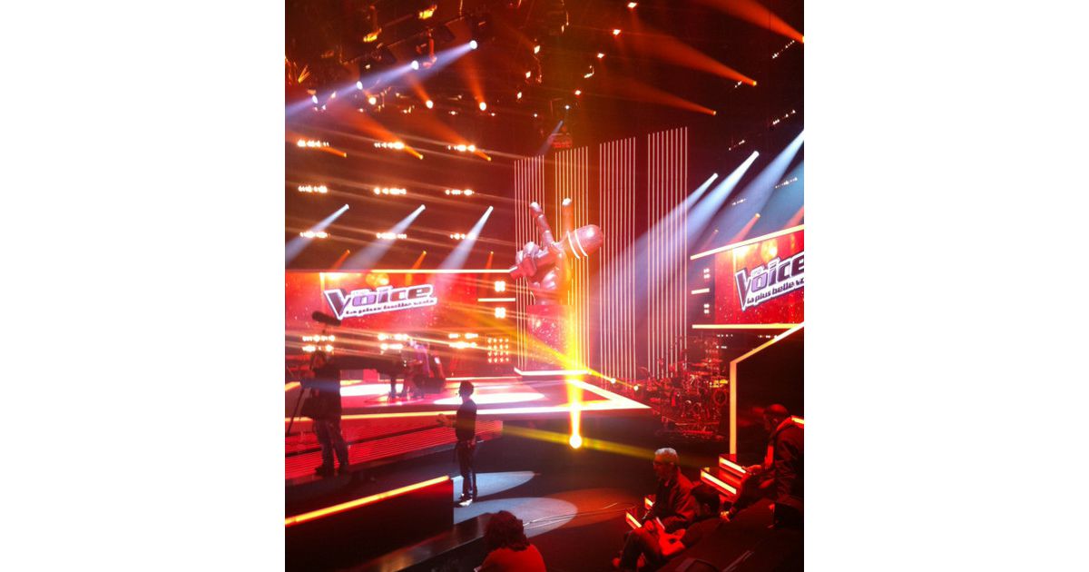 Télé-crochet The Voice - Purebreak