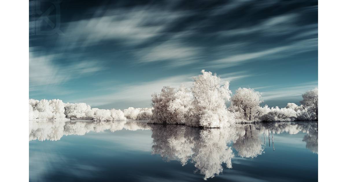 Des photos sous infrarouge pour un résultat incroyablement poétique ...