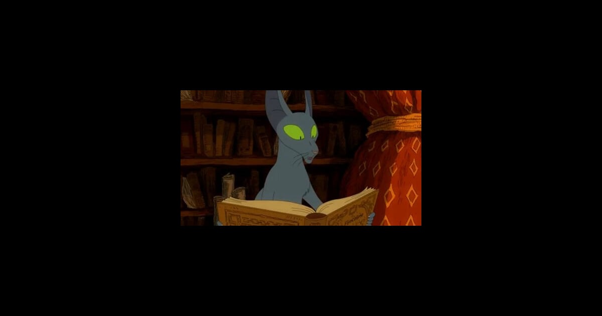 Le Chat Du Rabbin... premières images du film évènement (vidéo) - PureBreak