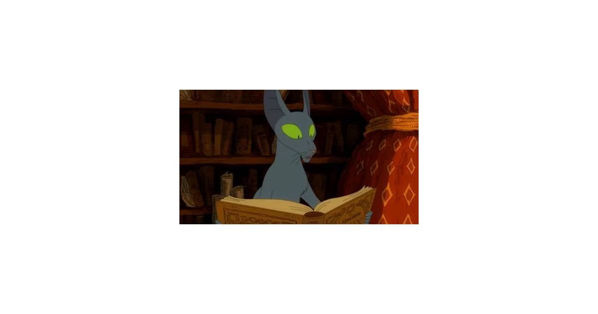 Le Chat Du Rabbin... premières images du film évènement (vidéo) - Purebreak