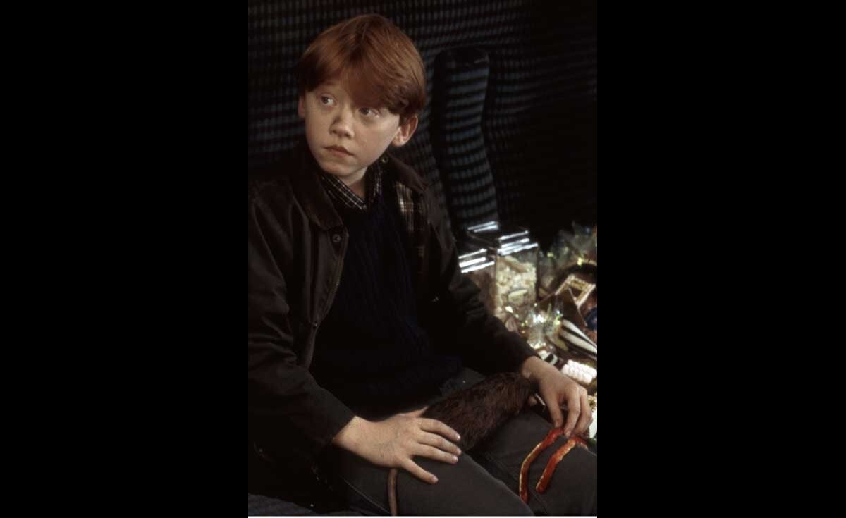 Photo : Rupert Grint dans l'un des premiers films de la saga Harry ...