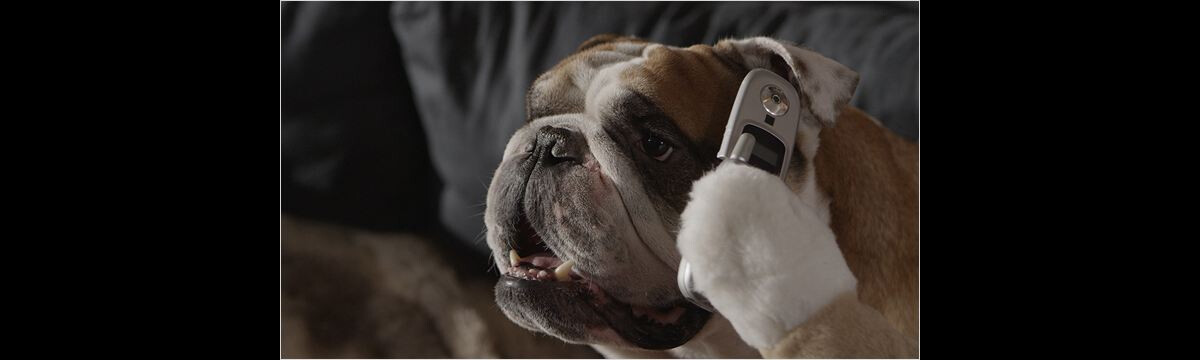 Photo : France Kbek saison 1 : des séquences WTF?! - PureBreak