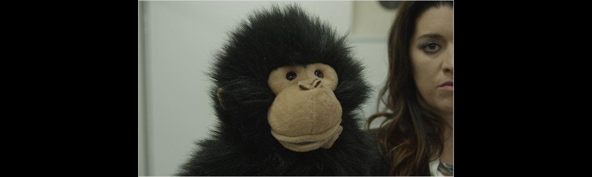 Photo : France Kbek saison 1 : une écriture hilarante - PureBreak