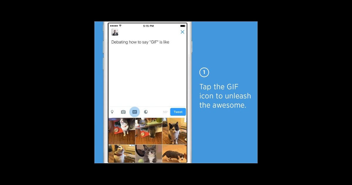 Twitter : un moteur de recherche de GIFs débarque pour vos tweets et DM ...