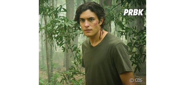 Lucifer saison 5 : zoom sur Alexander Koch (Pete Daily), spécialistes ...