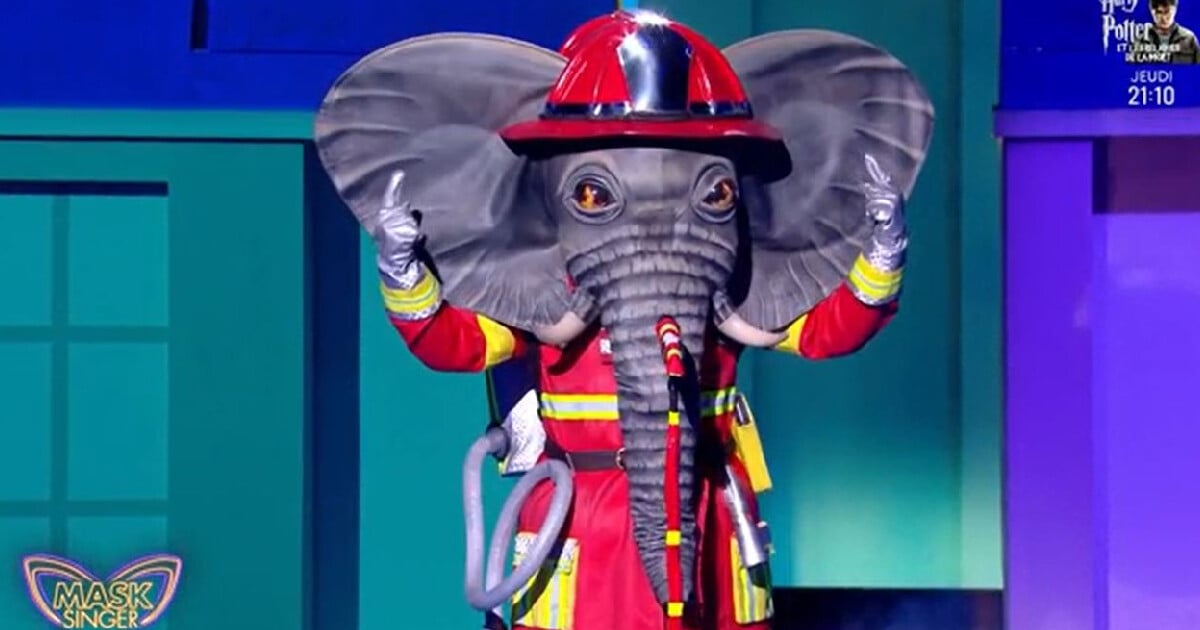 Mask Singer 4 : qui est l'Éléphant ? Les indices et théories sur son ...