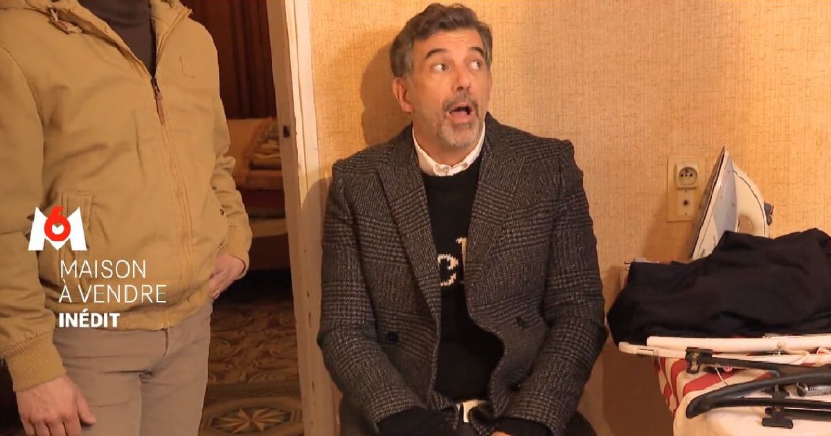 "Oh la vache" : Stéphane Plaza hallucine face à la collection flippante ...