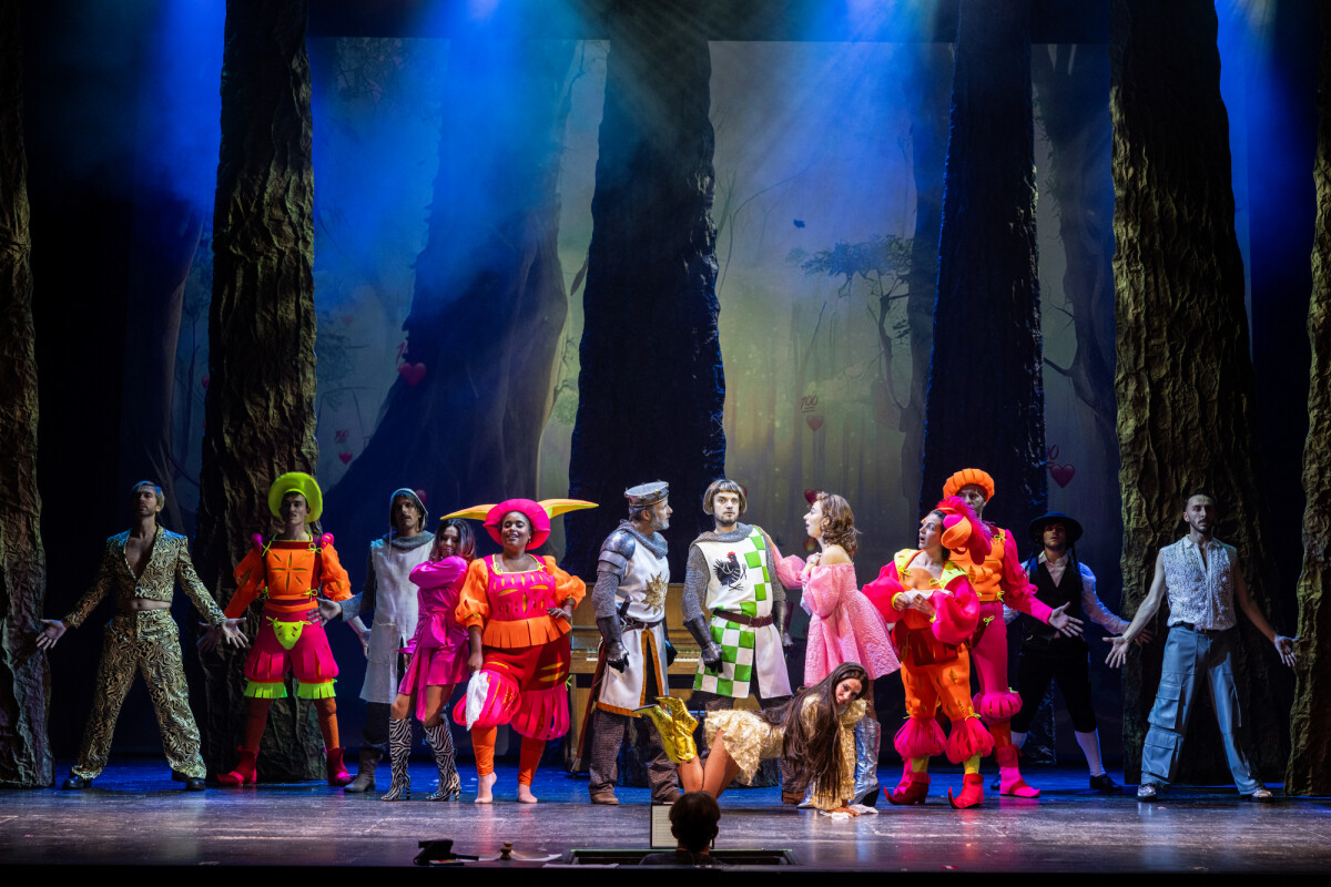 Photo : La troupe de Spamalot sur la scène du Théâtre de Paris (2023 ...