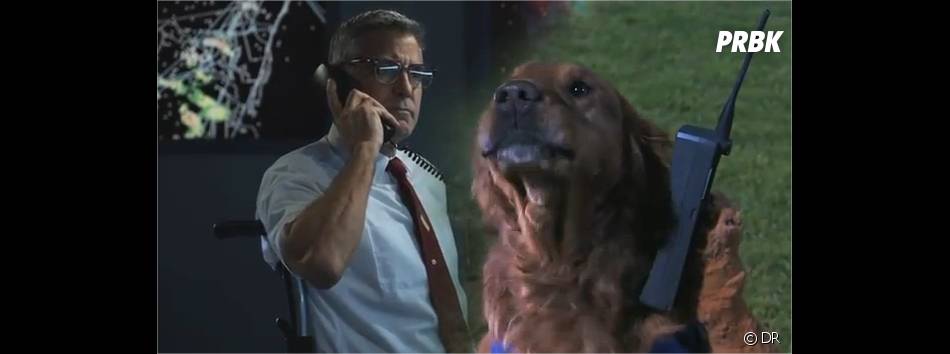 George Clooney parle le chien ! - Purebreak