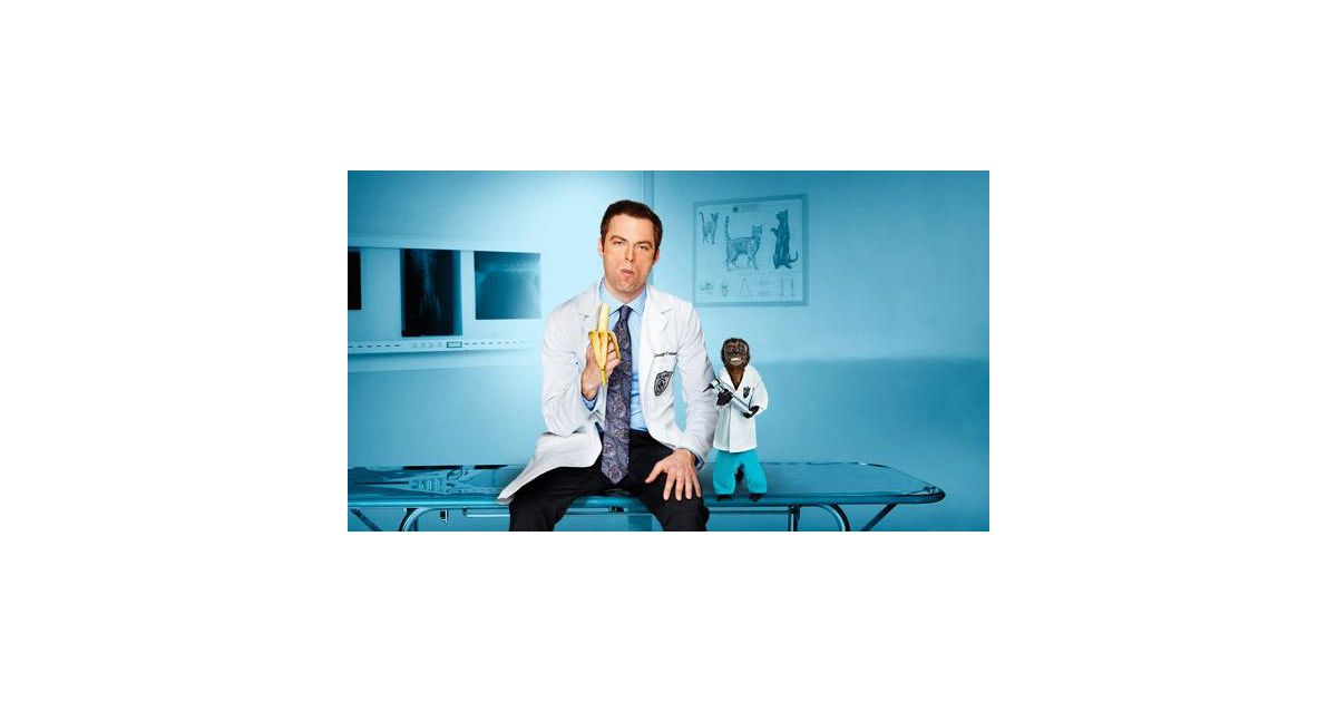 Animal Practice : PETA clashe la série ! - Purebreak