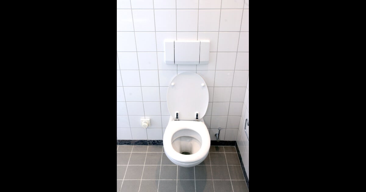 The Place To Pee : l'appli mobile pour des "pauses caca" super fun ...