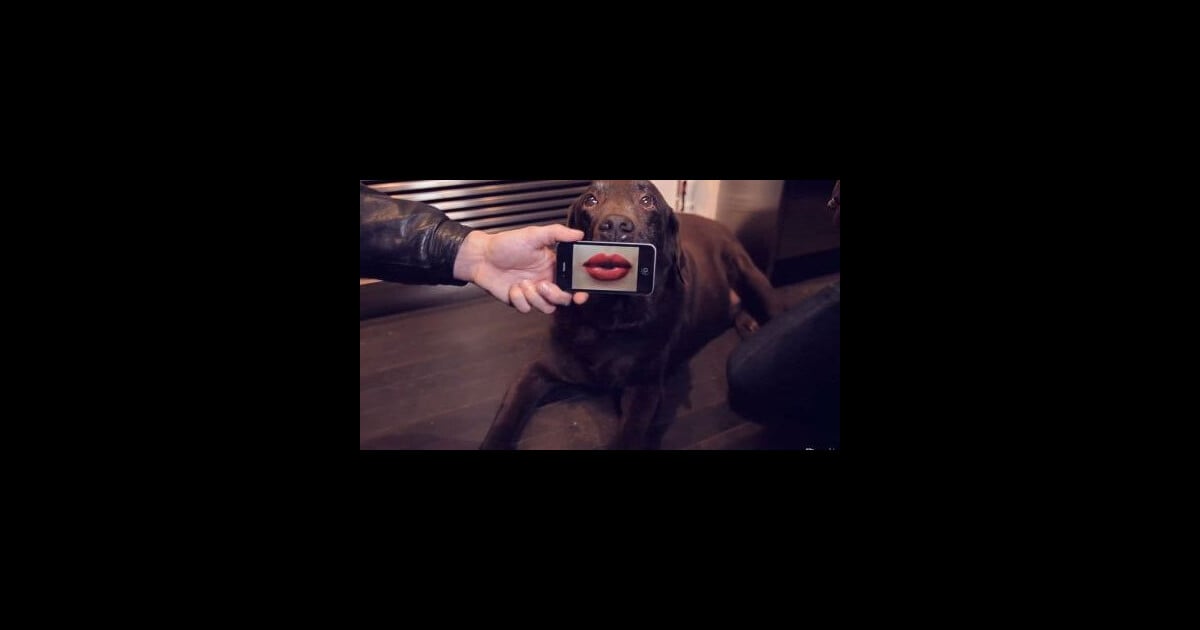 Cassius ... Le clip I