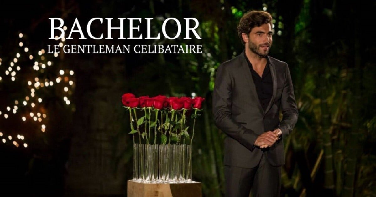 Le Bachelor de retour en France ? "Il ne reste qu'à trouver le bon ...