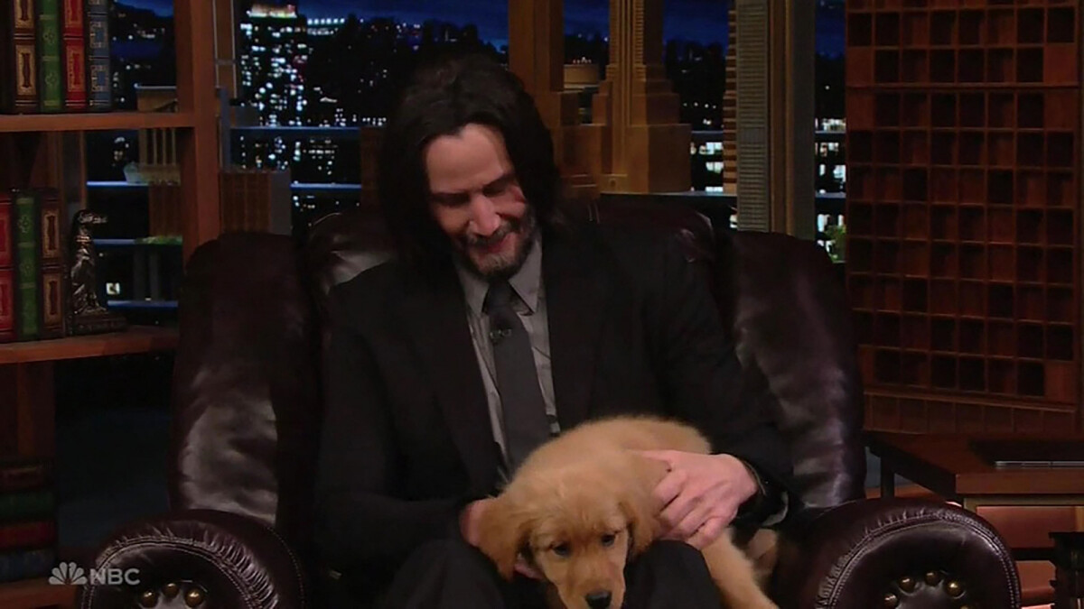 Photo : Keanu Reeves câline des chiots sur le plateau de l'émission de ...