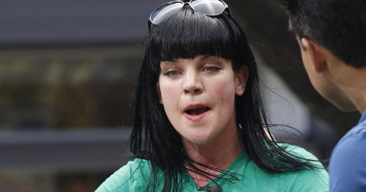 PAULEY PERRETTE SUR LE PLATEAU DE L'EMISSION THE GROVE A LOS ANGELES LE ...