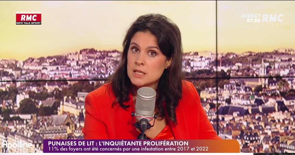 "Ca m'a coûté très cher" : Apolline de Malherbe pousse un double coup ...