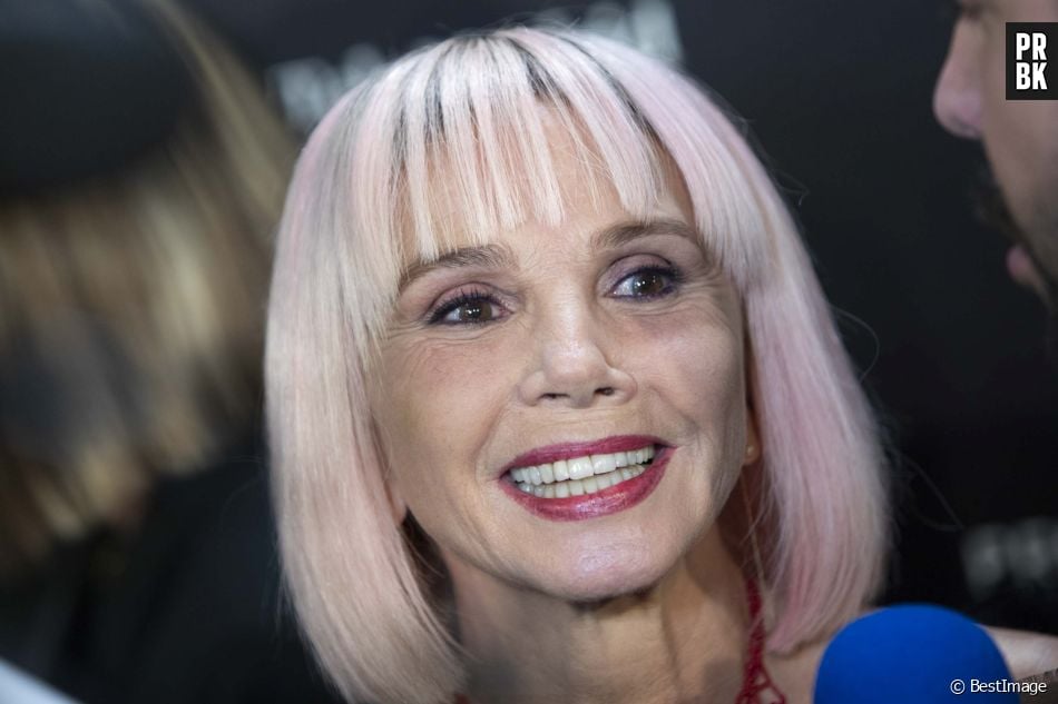 "Qu'elle ait raison ou tort..." : un acteur de Clem brise le silence ...