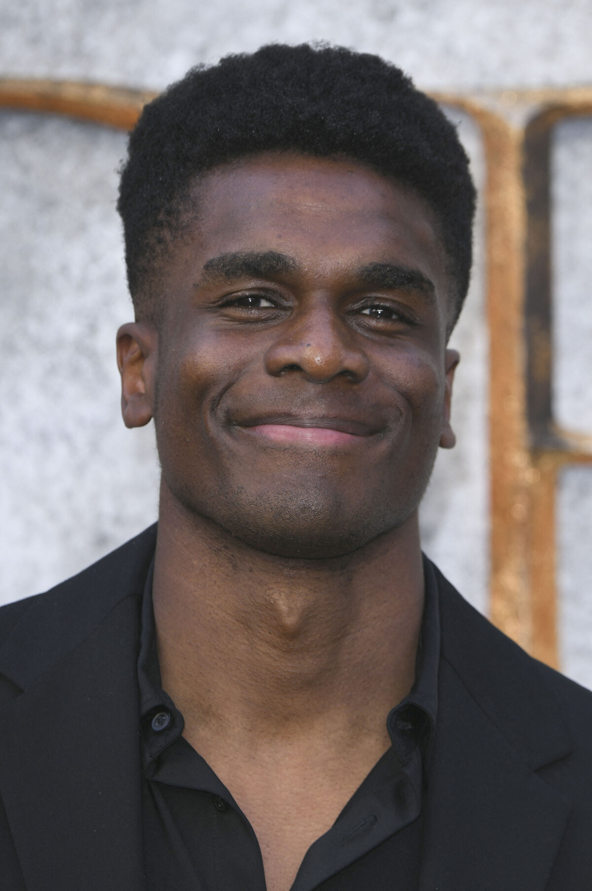 Photo : Clinton Liberty - Première de la série "House of the Dragon ...