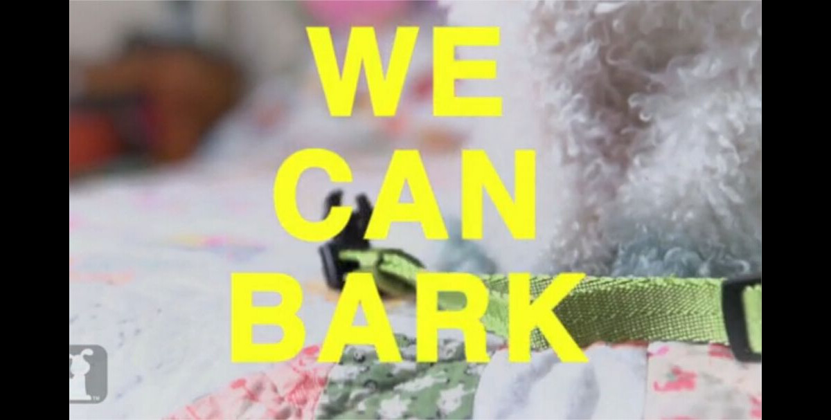 Photo : Miley Cyrus : We Can't Stop devient We Can Bark - Volum (PureBreak)