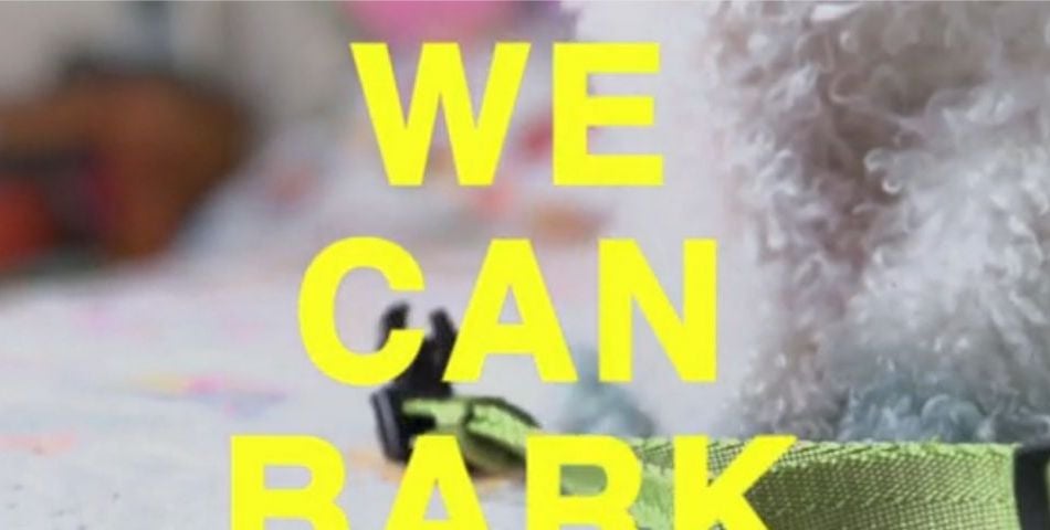 Miley Cyrus : We Can't Stop devient We Can Bark - Purebreak