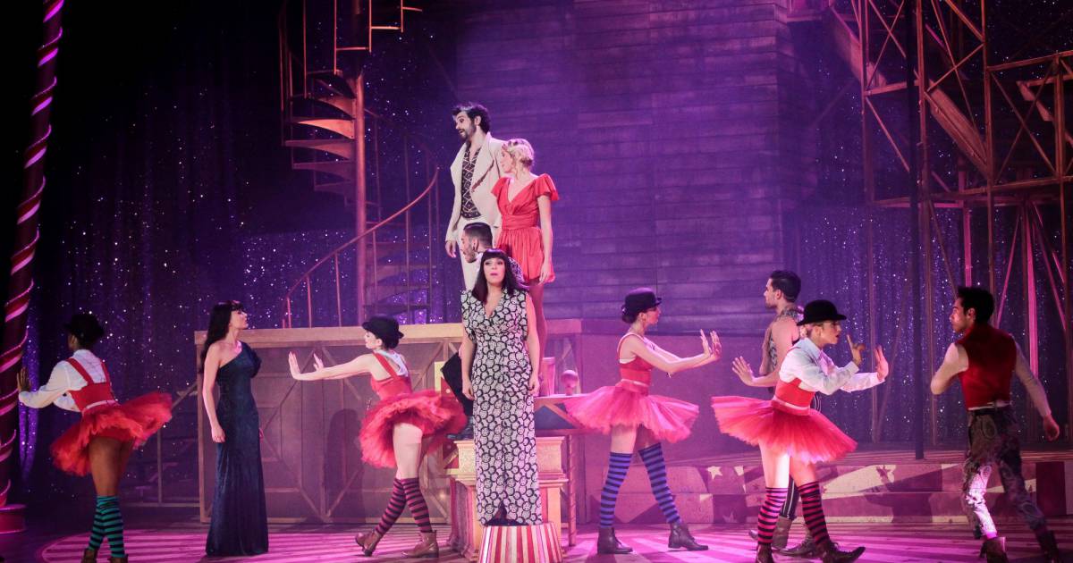 Love Circus : la troupe lors de l'avant-première, le 28 ocobre 2014 ...