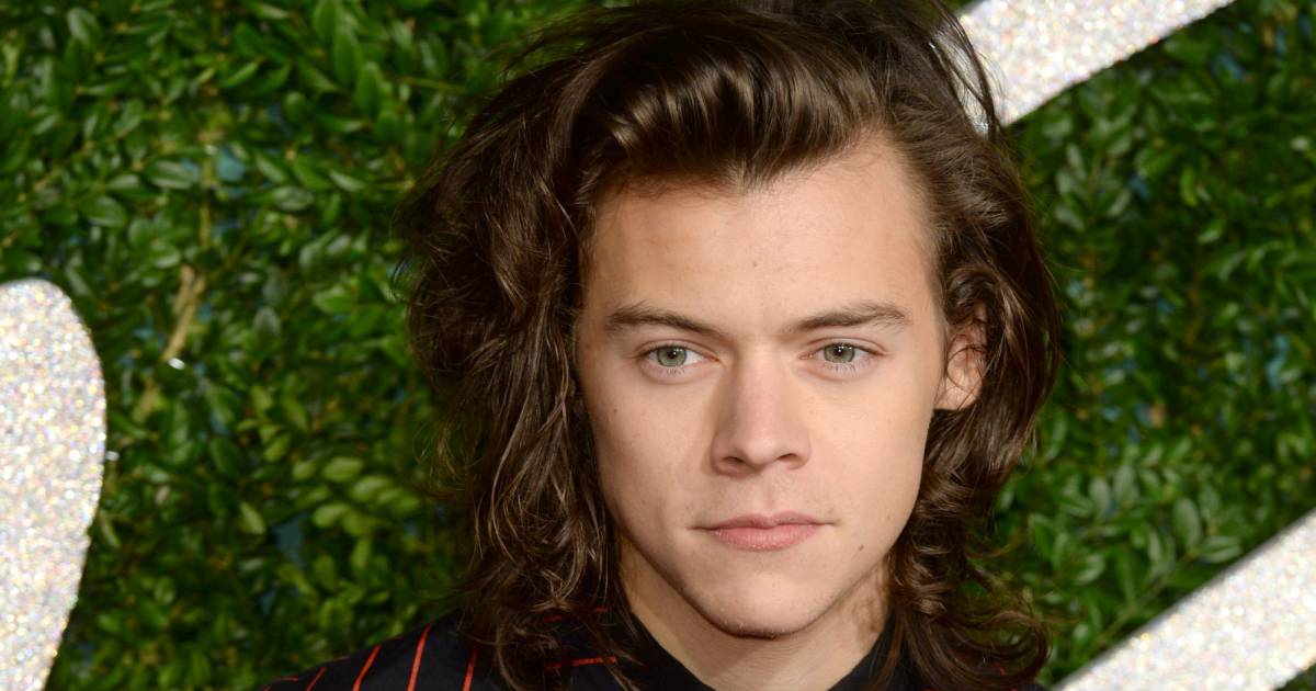 Harry Styles réagit à la rumeur absurde de liaison avec Barack Obama ...