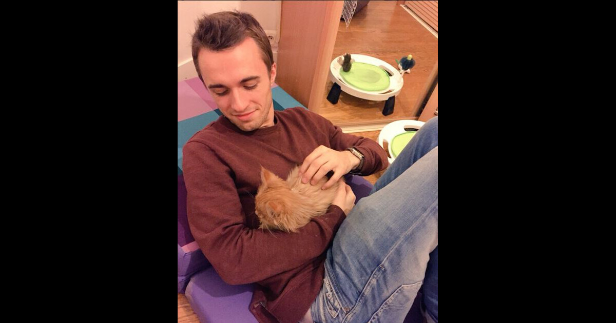 Squeezie : message touchant sur Facebook après la mort de son chaton ...