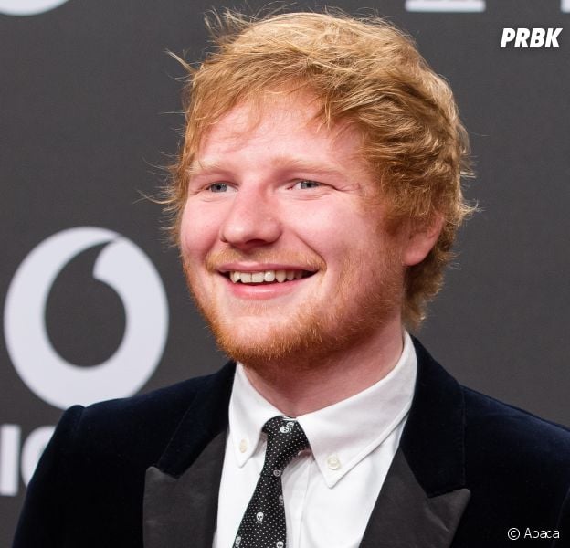 Ed Sheeran : cette petite fille de 2 ans est son sosie et c'est ...
