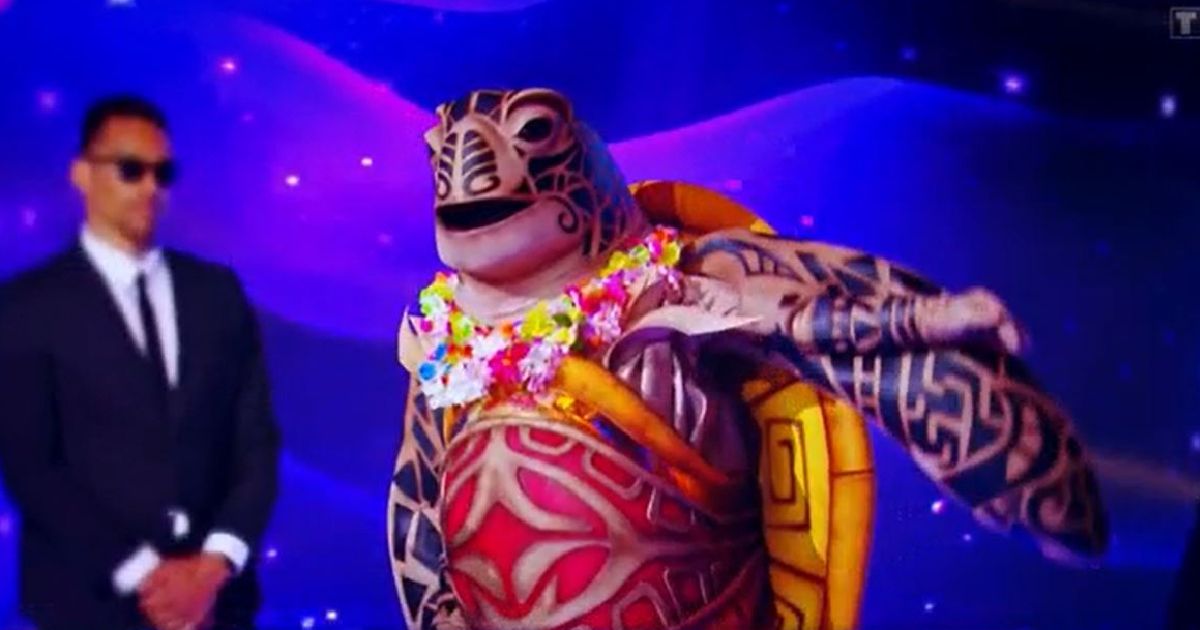 Mask Singer 4 : qui est la Tortue ? Les indices et théories sur son ...