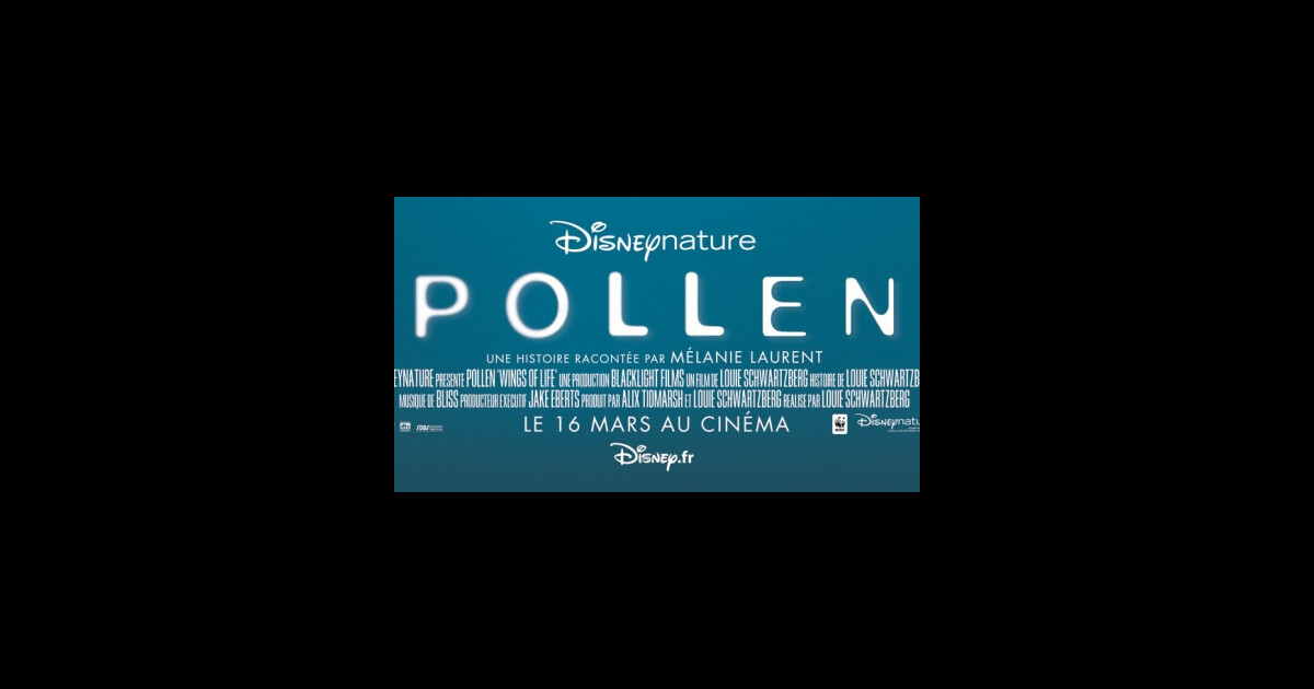 Pollen ... le nouveau film de Disney voici la bande-annonce et l ...