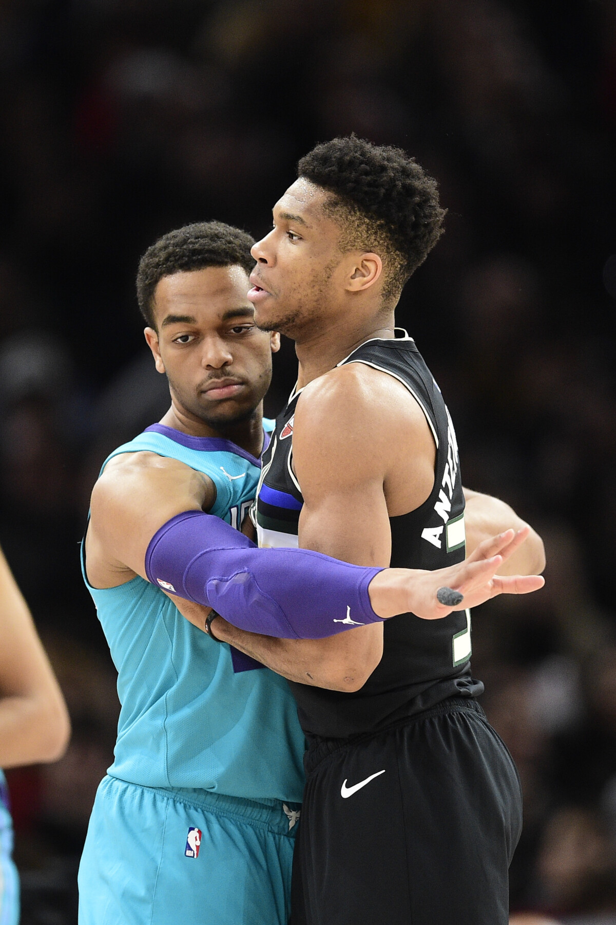 Photo : Giannis Antetokounmpo (Milwaukee Bucks) vs PJ Washington (Charlotte Hornets) - Match de ...