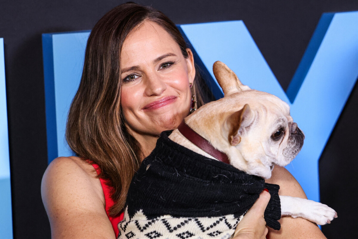 Photo : Los Angeles, CA - Celebrities attend the Premiere Of Netflix's ...