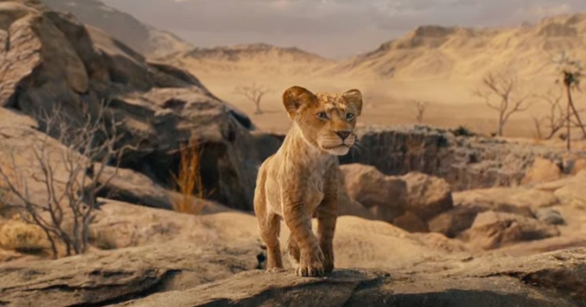 On ne savait rien des origines du Roi Lion : Disney dévoile la bande ...