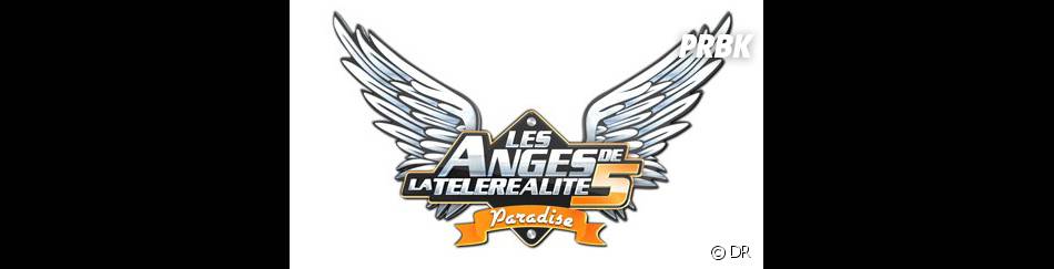 Les Anges de la télé-réalité 5 : une saison qui s'annonce explosive ...