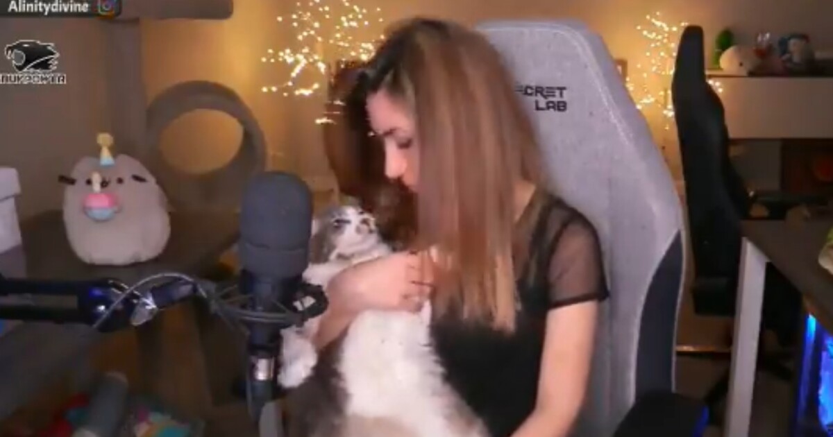 Alinity : la streameuse maltraite son chat en direct sur Twitch, les ...