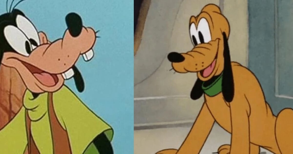 Pourquoi Dingo parle et pas Pluto ? Un doubleur historique répond à l ...