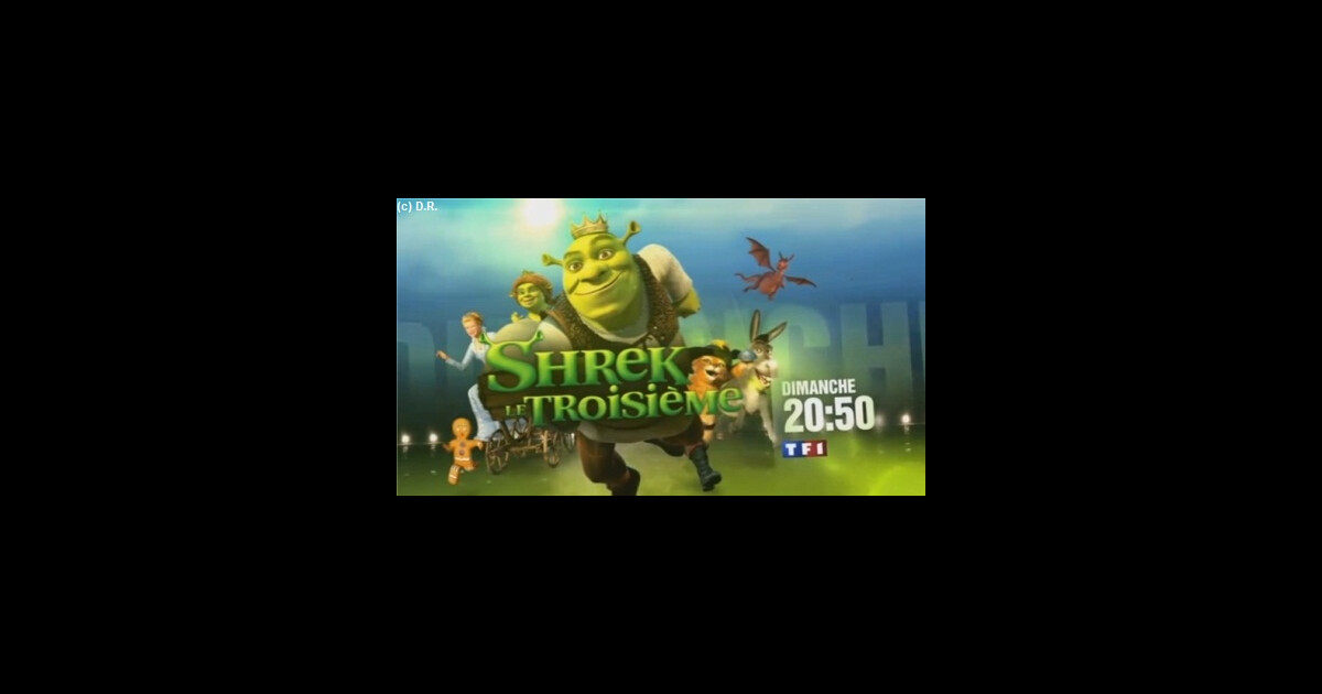 Shrek 3, le film sur TF1 ce soir : Shrek et l’âne reviennent (VIDEO) - PureBreak