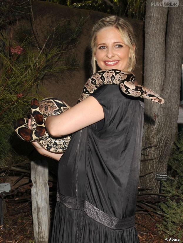 Sarah Michelle Gellar : lassée de jouer les chasseuses de vampires dans ...