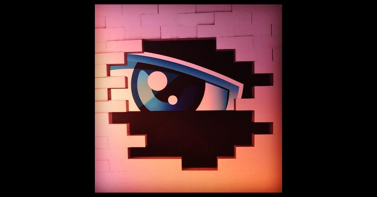 Secret Story 8 : la Maison des Secrets, les candidats... premières ...