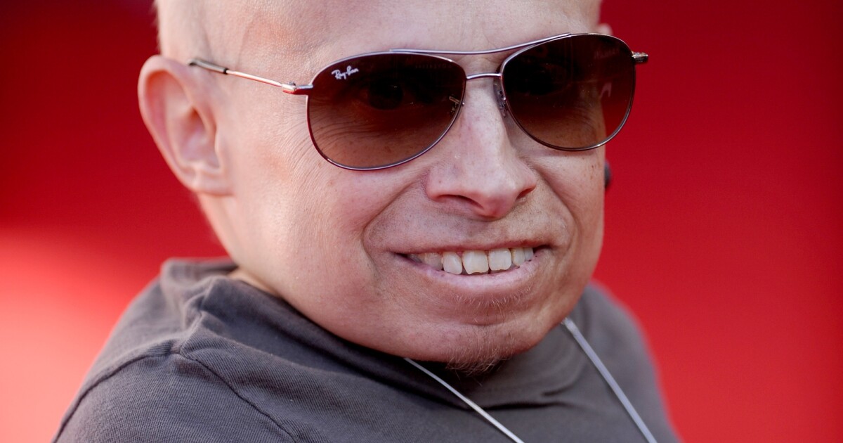 Mort de Verne Troyer : Logan Paul, Amanda Cerny, Steve Aoki... les stars lui rendent hommage ...