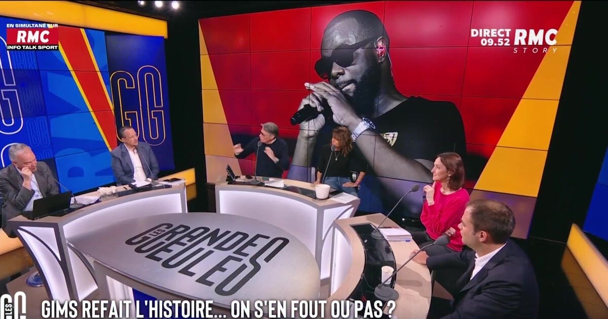 "Il se ridiculise et ridiculise l'Histoire africaine" : la théorie ...