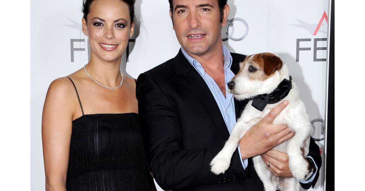 The Artist : Uggie, un Oscar et à la retraite ? Retour sur les chiens ...