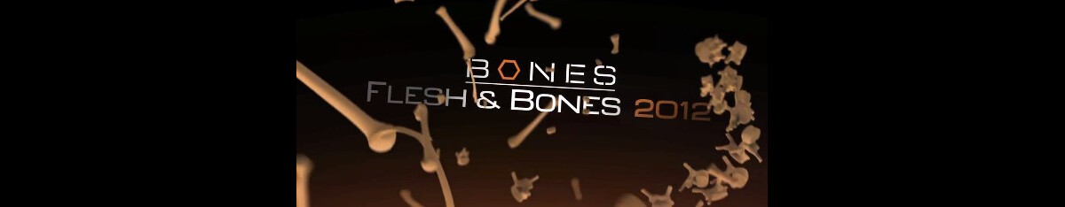 Vidéo : Petite compil très gore de Bones ! - PureBreak