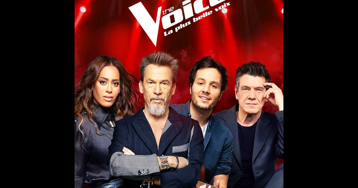 QUIZ The Voice : as-tu bien suivi cette saison 10 ? - PureBreak
