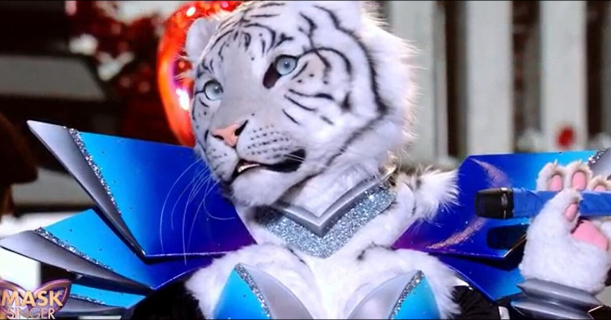 Mask Singer 2022 : l'identité de la Tigresse dévoilée, énorme choc ...