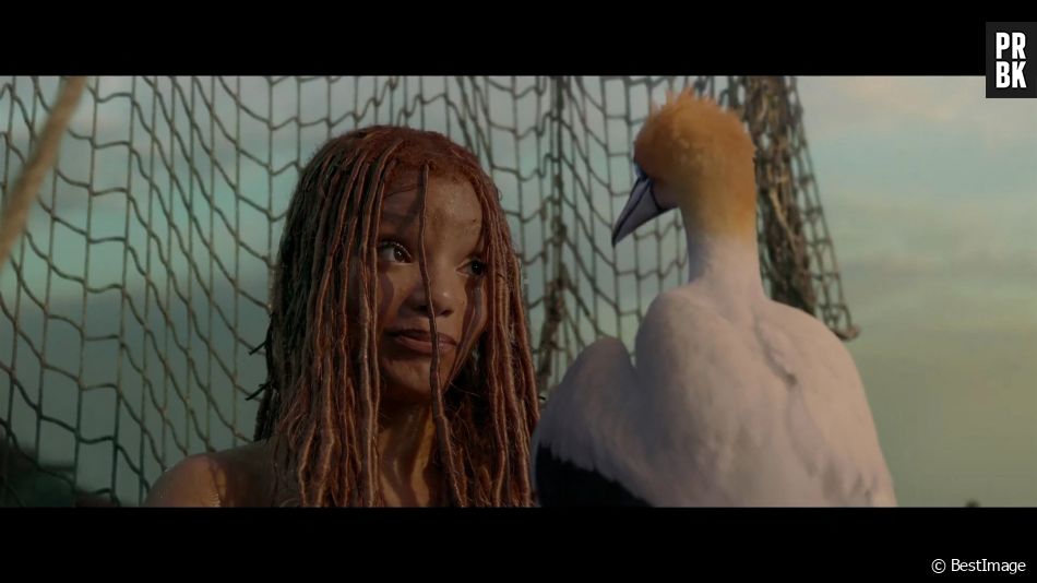 "Mon enfance est bafouée" : la version de Polochon dans le live-action ...