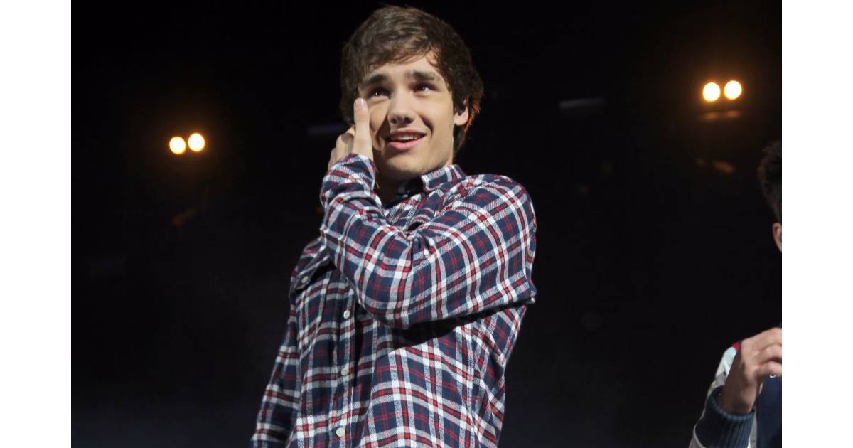 Liam en concert avec les One Direction - Purebreak