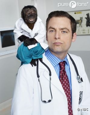 Animal Practice : au pays des animaux avec Justin Kirk ! (VIDEO ...